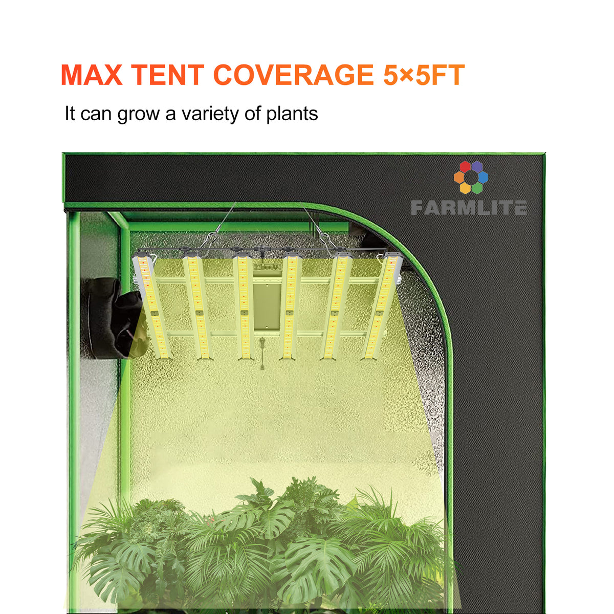 FARMLITE Grow Light LED Grow Lights for Indoor Plants Full Spectrum Gr ...